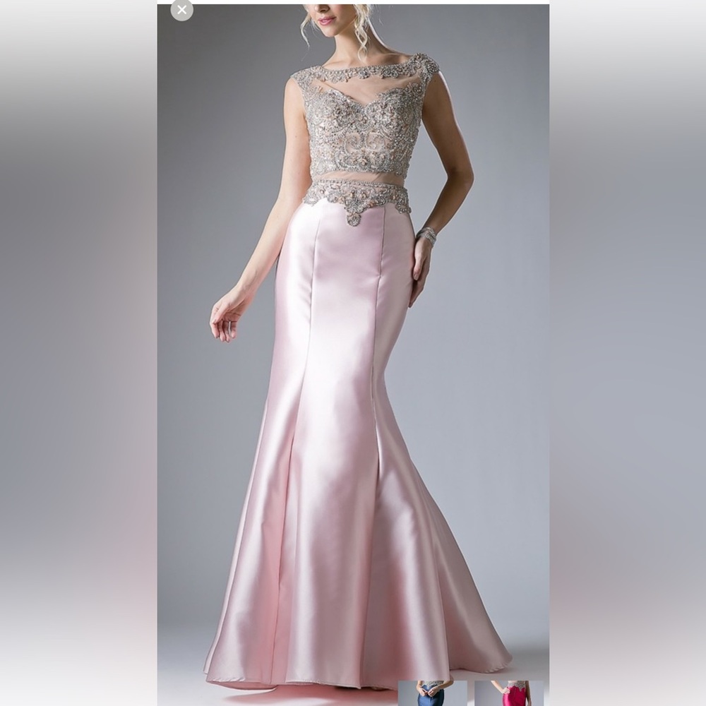 Light Pink Mermaid Crystal Embellished Mesh Long Tigh… - Gem